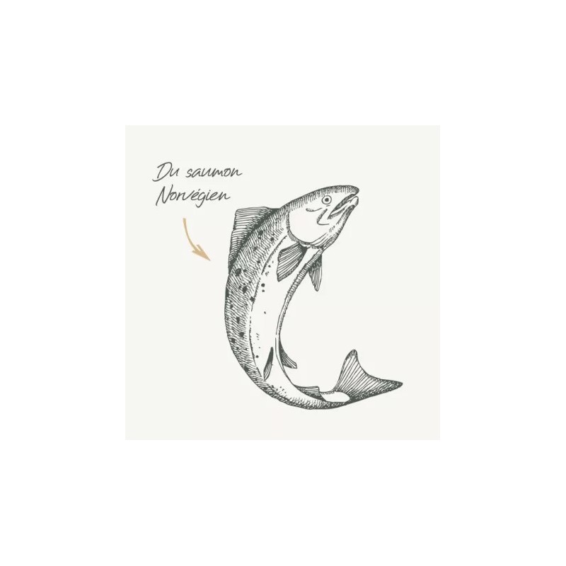 Bab'in - Croquettes chien Lab Mini adulte peau et pelage au saumon